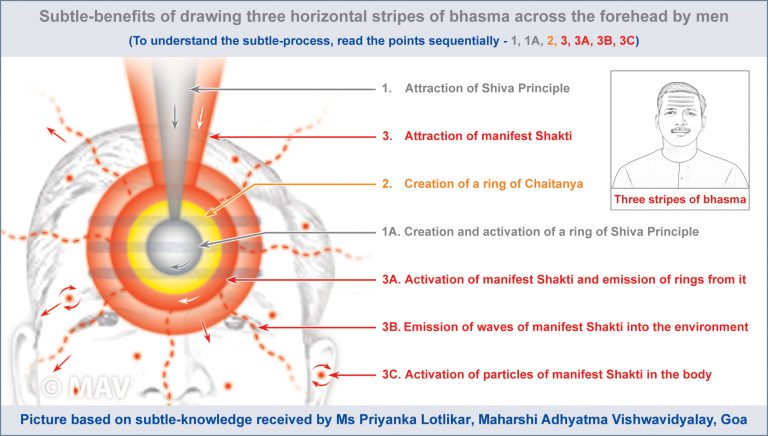 Bhasma - Hindu Janajagruti Samiti